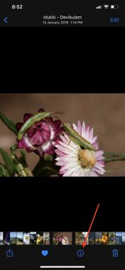 Photos Information iPhone and iPad - How to find them? - EXIF Viewer by ...