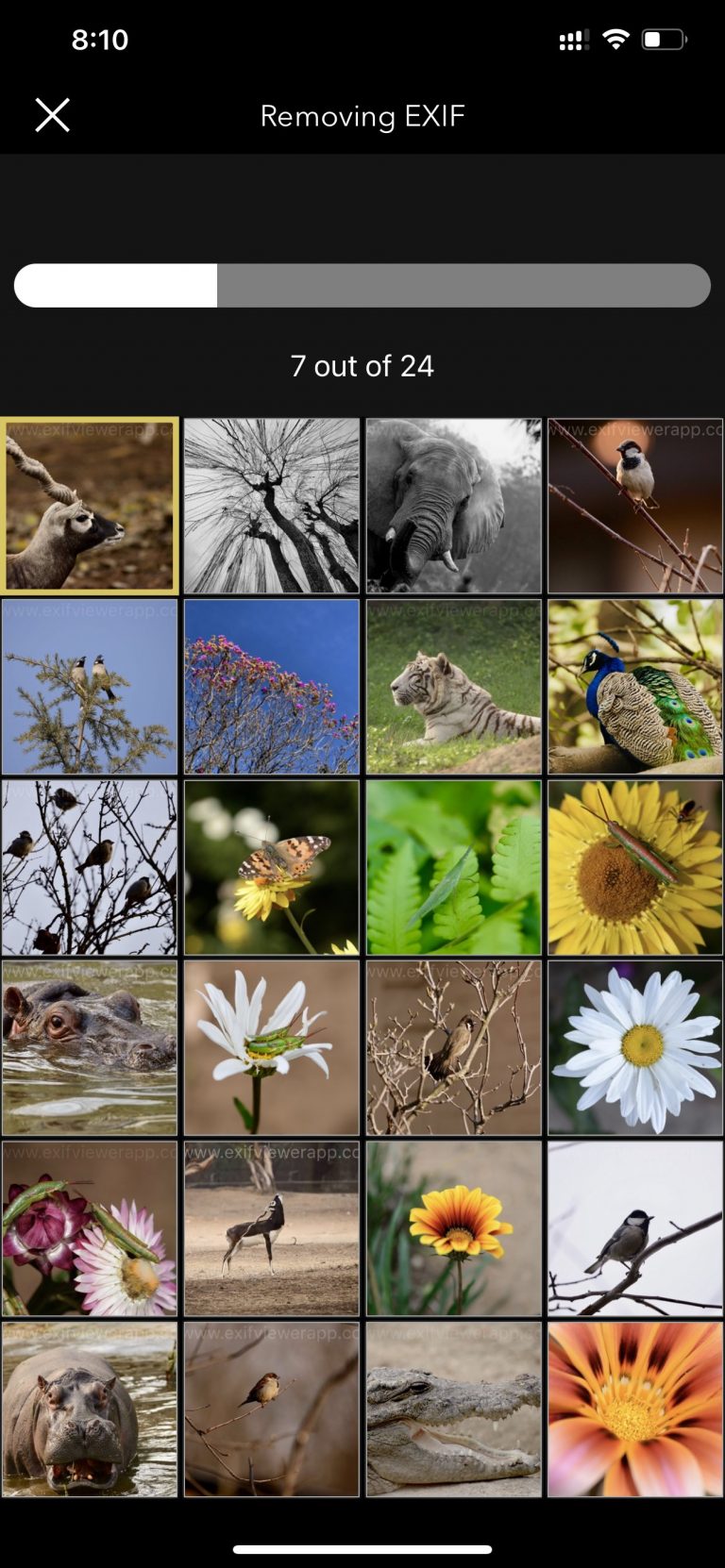 EXIF Data in Social Media: What You Need to Know