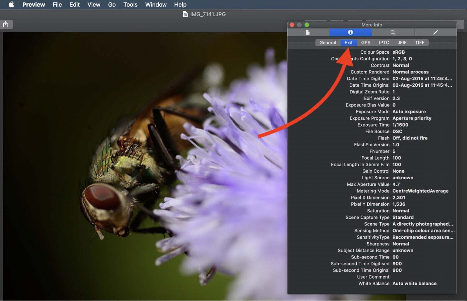 How to Find Photo Details? - EXIF Viewer by Fluntro