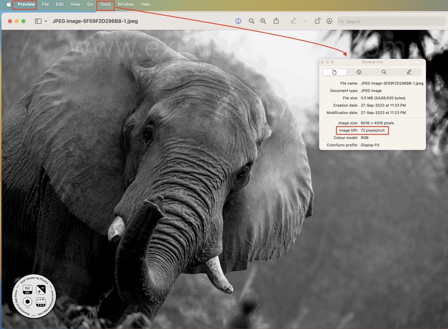 DPI Conversion: How DPI Affects Your Prints and Why It Matters